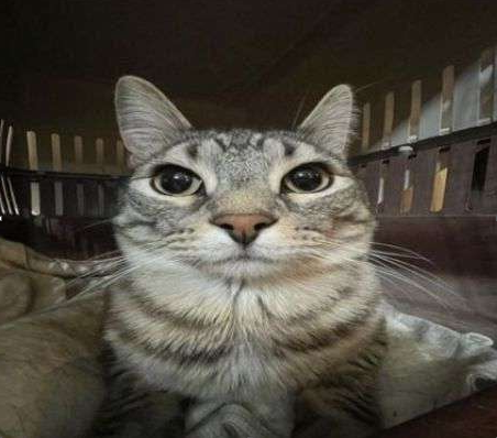 Create a Inf. Unfolds joel armor tierlist Tier List - TierMaker