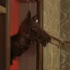 Interactive Game Characters Tier List (Community Rankings) - TierMaker