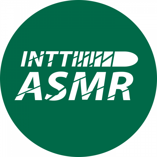 Create a Intti ASMR 2020 Tier List - TierMaker