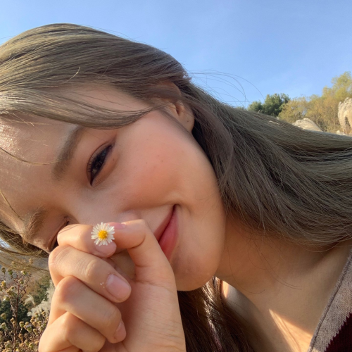 izone's discography (korean albums) Tier List (Community Rankings ...