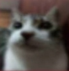 Create a ja kada ja kada Tier List - TierMaker