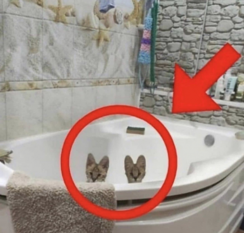 jimmys epic lbp character tierlist Tier List (Community Rankings ...