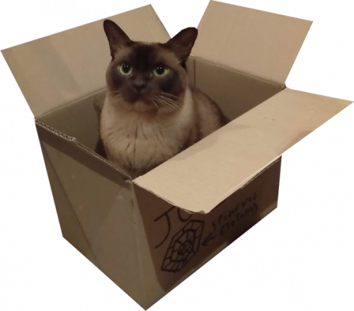 Joel and Jood Spooky Looking Tier List (Community Rankings) - TierMaker