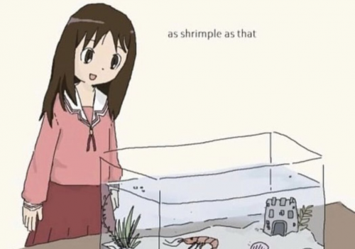 Create a Jolly Rancher OG Flavors Tier List - TierMaker