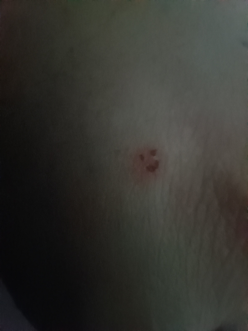 Create a J's exs Tier List - TierMaker