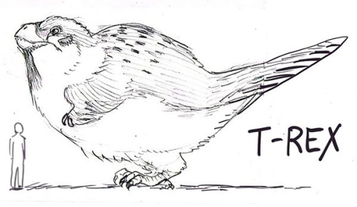 Create a JWA Custom Common Tier List - TierMaker