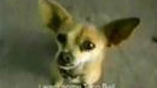 Create a Kickable Dog Tier List - TierMaker