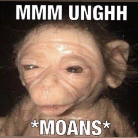 Kin Tier List (Community Rankings) - TierMaker