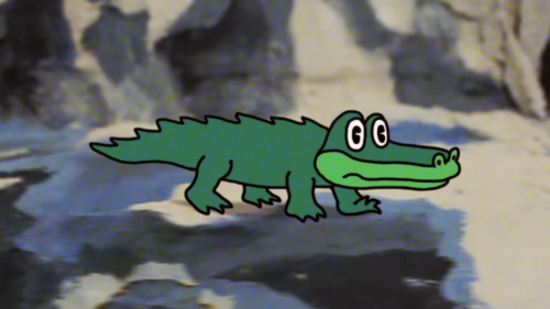 King Gizzard & The Lizard Wizard Music Videos Tier List (Community ...