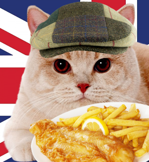 Create a King James UK girls only Tier List - TierMaker