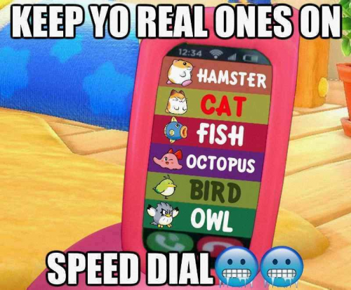 Kirby's Dream Land 3 Copy Abilities Tier List (Community Rankings ...