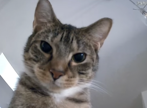 Create a kitchen ranker Tier List - TierMaker