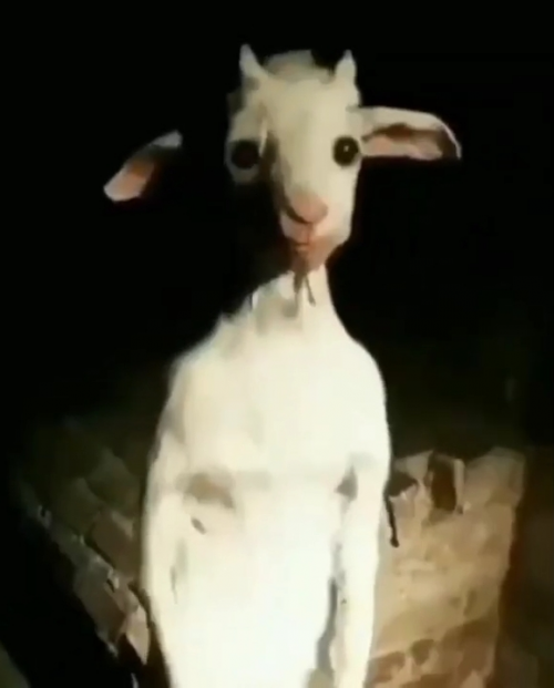 Create a Kool Kidz Klub Tier List - TierMaker