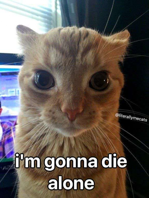 Create a KPD Physical Strength Tier List - TierMaker