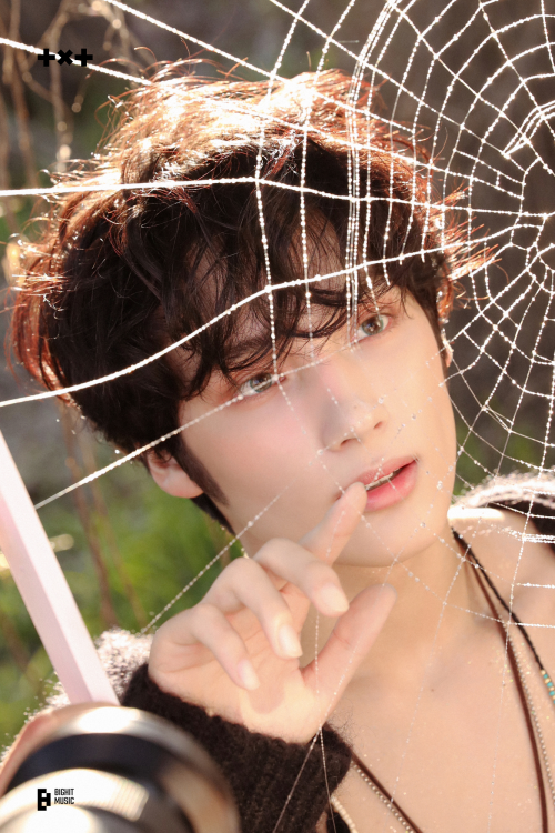 Create a Kpop pets Tier List - TierMaker