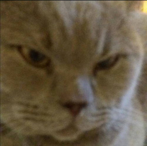 l bozo power lvl Tier List (Community Rankings) - TierMaker