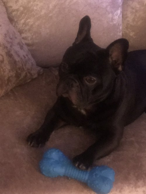 L GANG Tier List (Community Rankings) - TierMaker