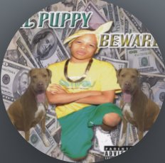 Create a Lil Puppy Album Tier List - TierMaker