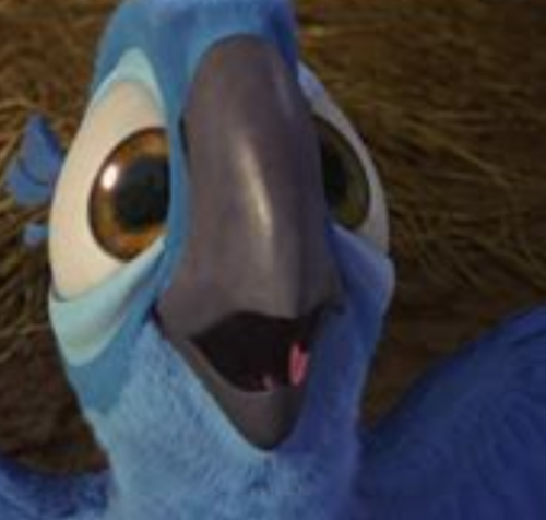 List of bird species in the Rio franchise Tier List (Community Rankings ...
