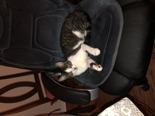 Create a List of Bruvs Tier List - TierMaker