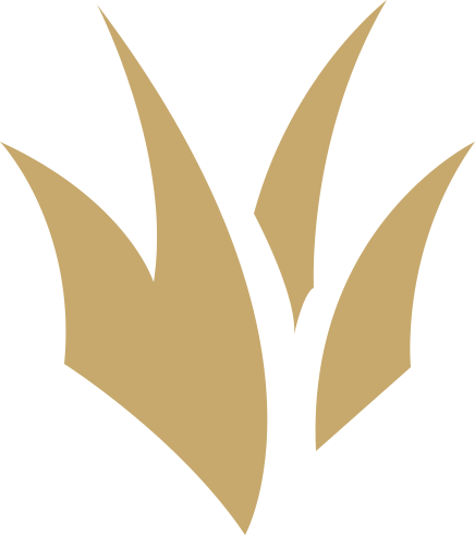 LOL COUNTRY Tier List (Community Rankings) - TierMaker