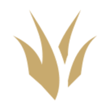 lol roles Tier List (Community Rankings) - TierMaker