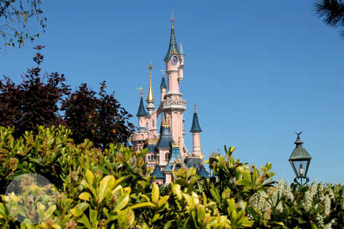 Loop Disneyland Paris Tier List (Community Rankings) - TierMaker