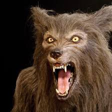 Machine Girl Songs Tier List (Community Rankings) - TierMaker