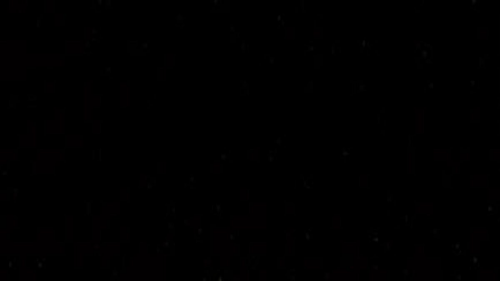 Management Tier List (Community Rankings) - TierMaker