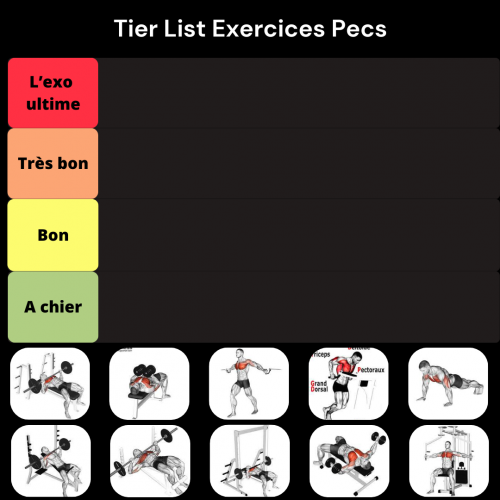 Create a Meilleur exercices pectoraux Tier List - TierMaker