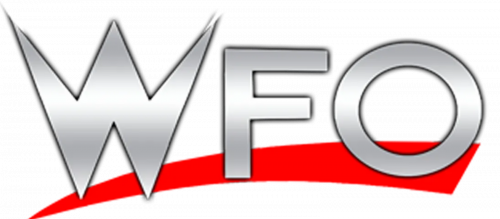 Mejores luchadores de WFO Tier List (Community Rankings) - TierMaker