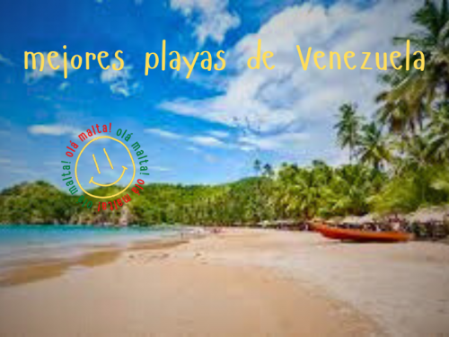 OLÁ MALTA! MEJORES PLAYAS DE VENEZUELA Tier List (Community Rankings ...