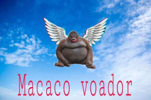 Create a Melhores macacos voadores Tier List - TierMaker