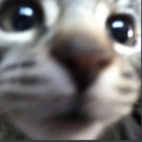 Create a Der koomer Tier List - TierMaker