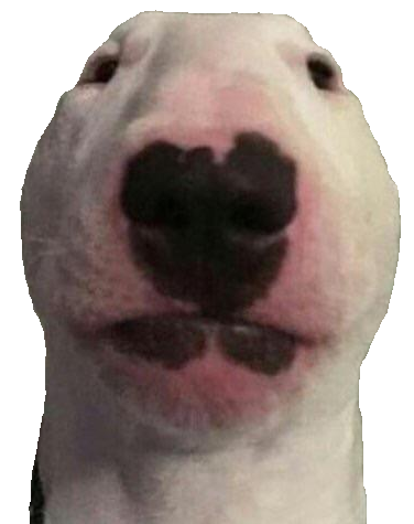 Create a Meme animals Tier List - TierMaker