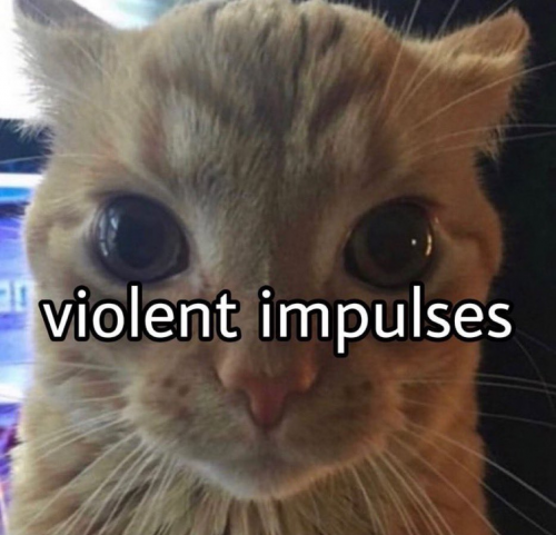 Meme Cats Tier List (Community Rankings) - TierMaker