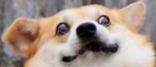 meme power ranking Tier List (Community Rankings) - TierMaker