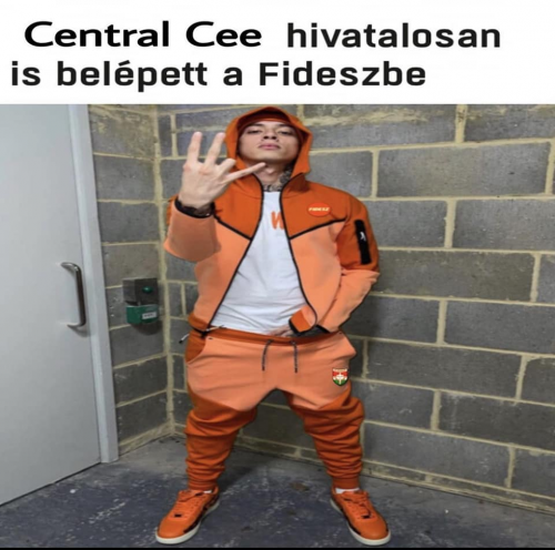 Create a meme w dmso Tier List - TierMaker