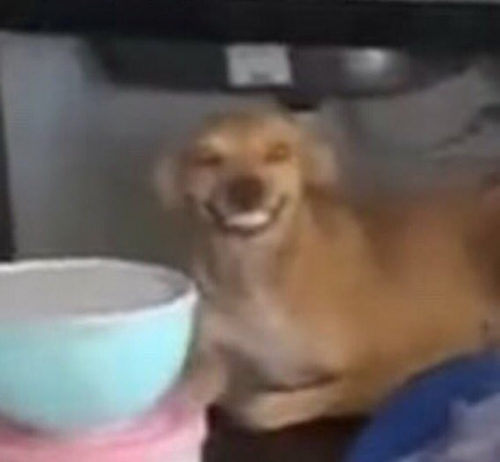 Create a memes da choquei Tier List - TierMaker