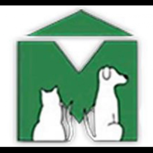 MHS Employee Tier List (Community Rankings) - TierMaker