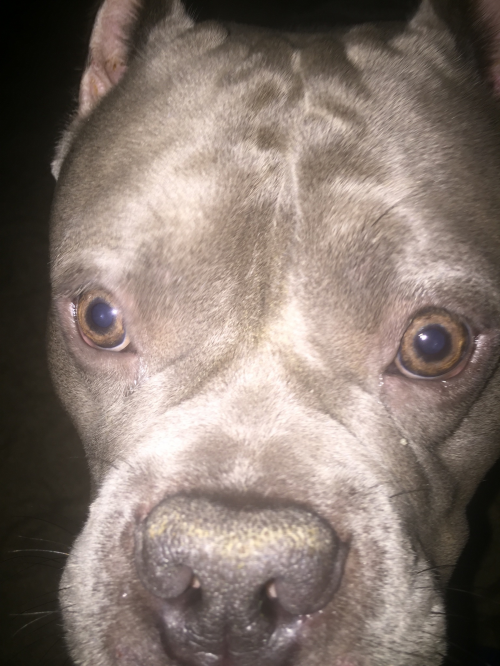 MHS Staff Tier List (Community Rankings) - TierMaker