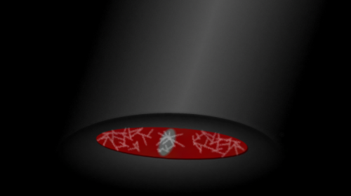 Midnight Horrors Boss Tierlist Tier List (Community Rankings) - TierMaker