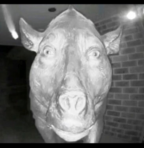 Minecraft Hacked Client Tier List (Community Rankings) - TierMaker