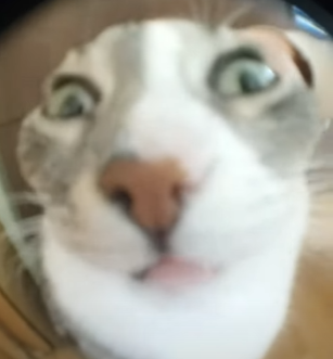 Create a minecraft mods Tier List - TierMaker