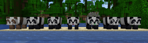 Create a Minecraft Panda Patterns Tier List - TierMaker