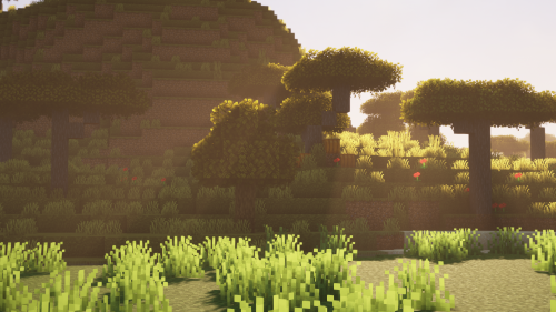 Create a Minecraft Shaders Tier List - TierMaker