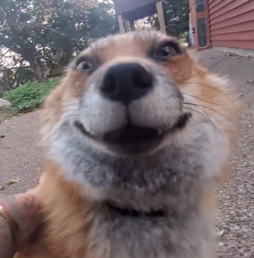 Create a Minecraft Tech Mod Tier List - TierMaker