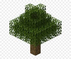 Minecraft Trees Tier List (Community Rankings) - TierMaker