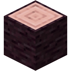 Minecraft Wood Type Tier List (Community Rankings) - TierMaker