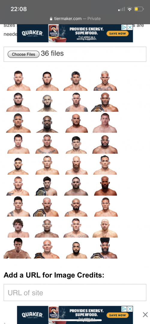 Mma grappling Tier List (Community Rankings) - TierMaker